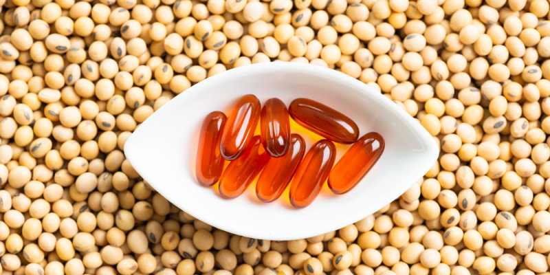 Soya Propiedades Y Beneficios